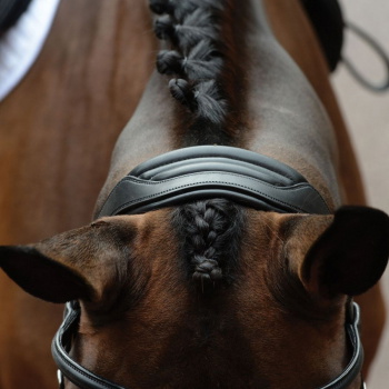A simple guide to rugging your Horse this Winter | The Drillshed Blog