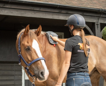 A simple guide to rugging your Horse this Winter | The Drillshed Blog