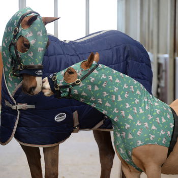 A Simple Guide to Rugging Your Horse this Winter | The Drillshed Blog