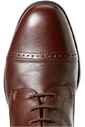 Ariat Womens Capriole Long Riding Boots Mahogany 10027346 | The Drillshed